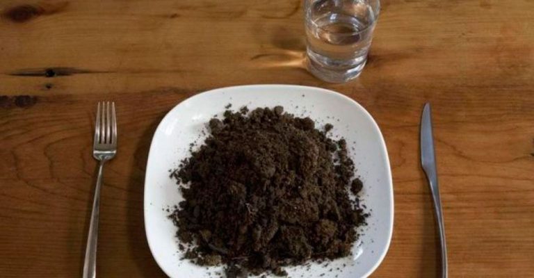 Qué es la Pica | Psicología Victoria Martín